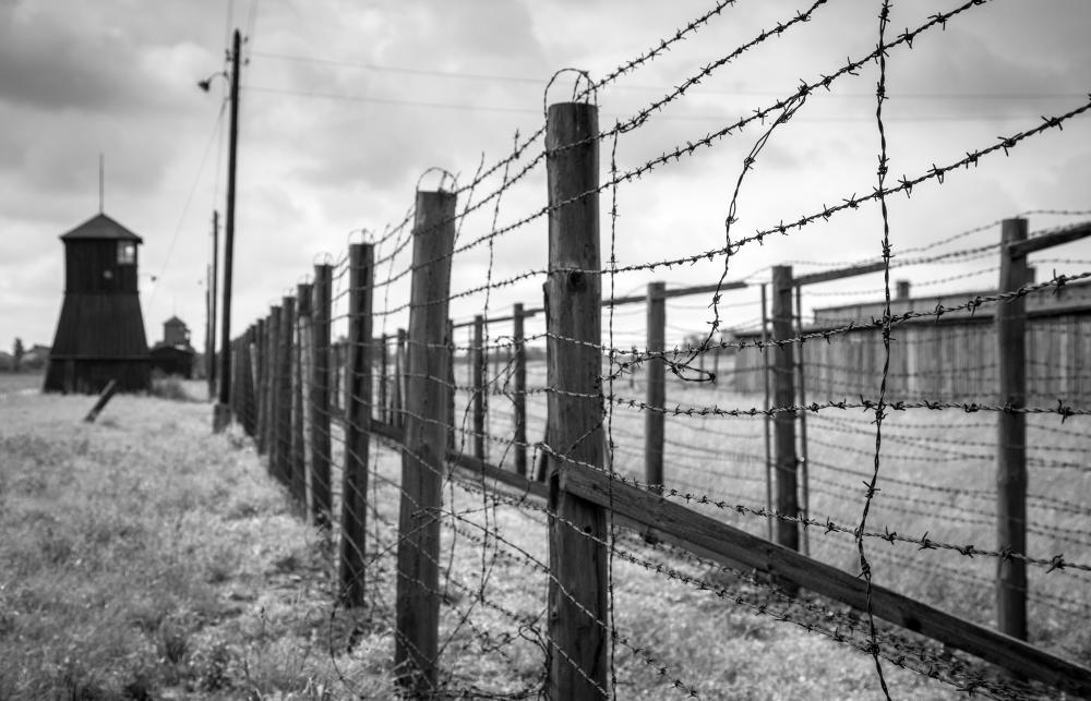 What is the Difference Between the German Army, Gestapo, Nazi Party, SA ...