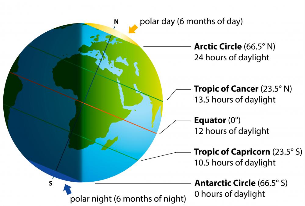 What are Tropical Countries? (with pictures)